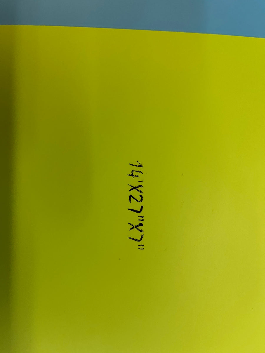 DEMO! 14’ Boga Race Board – Paddle Gear